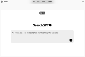 ChatGPT Searchとは？特徴や使い方、活用事例とポイントを解説 | SMS DataTech